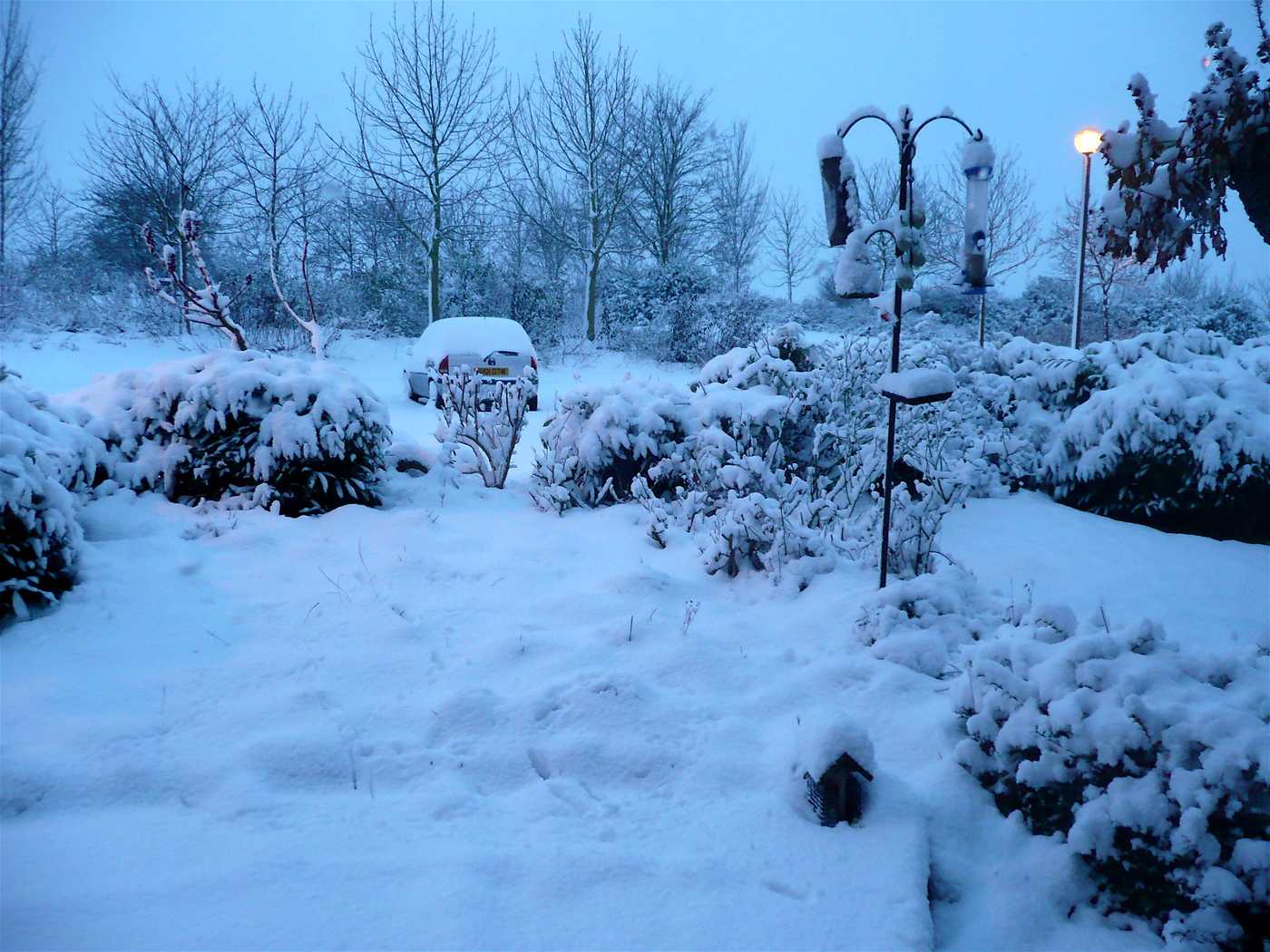 A Beautiful Snow Garden Can Keep You Happy in the Winter